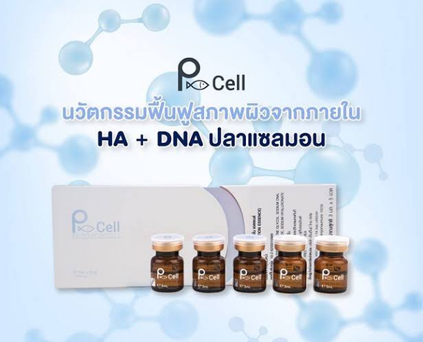 Pcell DNA Stem Cell แซลม่อนป่าธรรมชาติ (From Korea) - Yumi Dee Skin